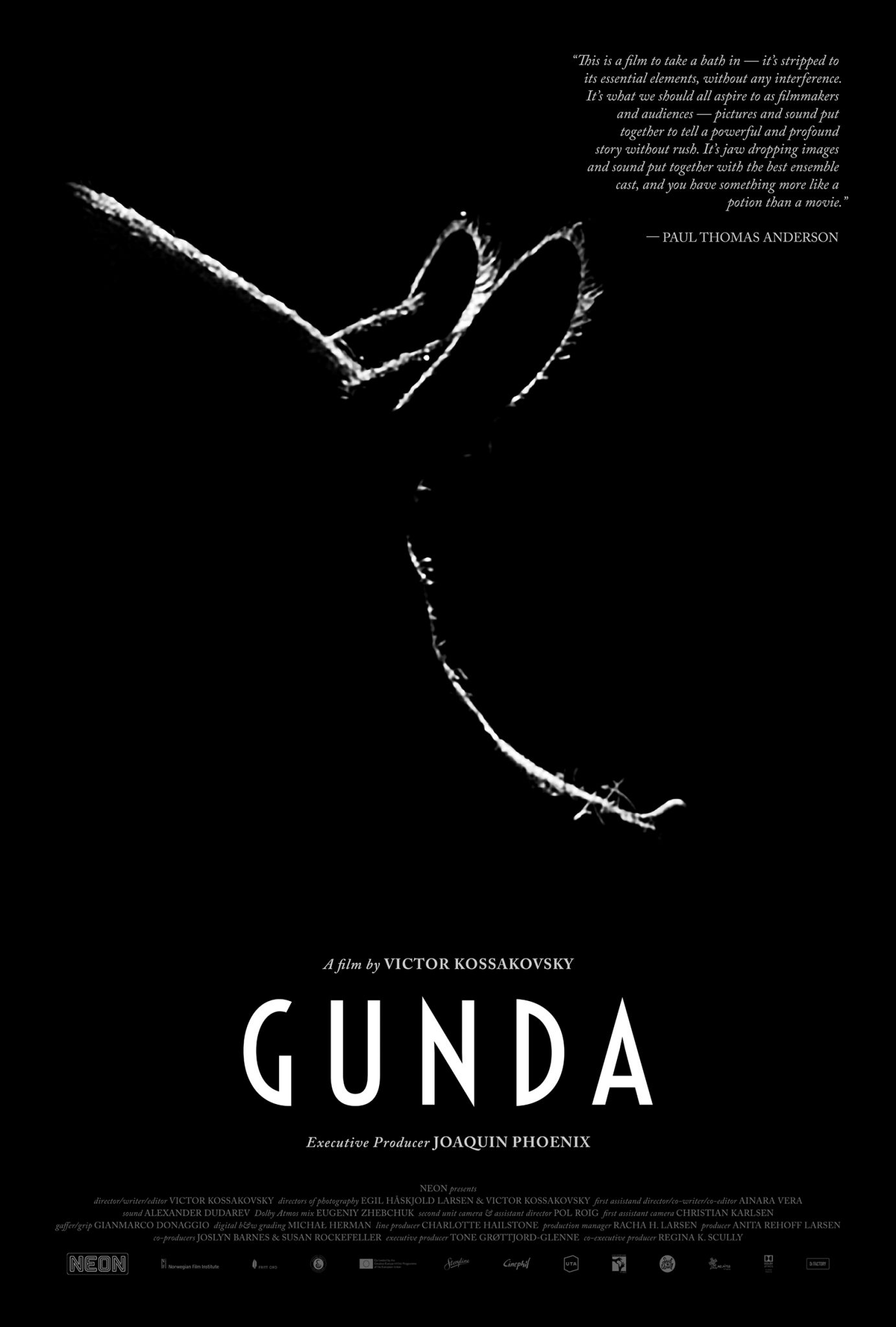 Gunda – Watch the trailer for new nature film | Live for Films